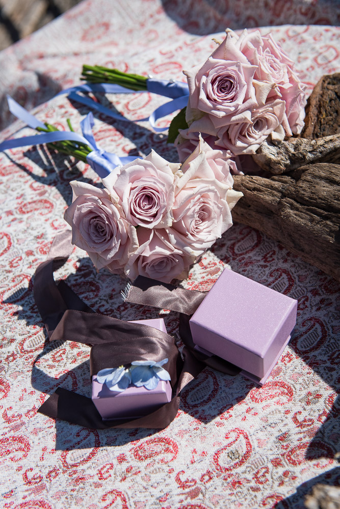 Emily and Patrick - Nelson Photography