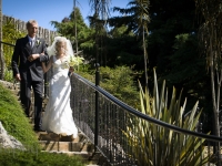 Katie and Shay | Nelson Photography